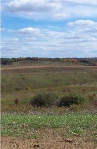 The Vizslak Sentinel